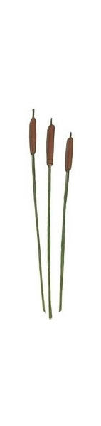 Cattails, Set of Three – Dollhouse Junction