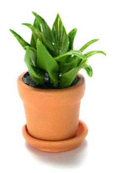 House Plant – Dollhouse Junction